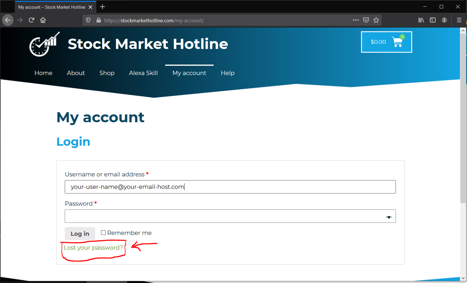 FAQs – Stock Market Hotline